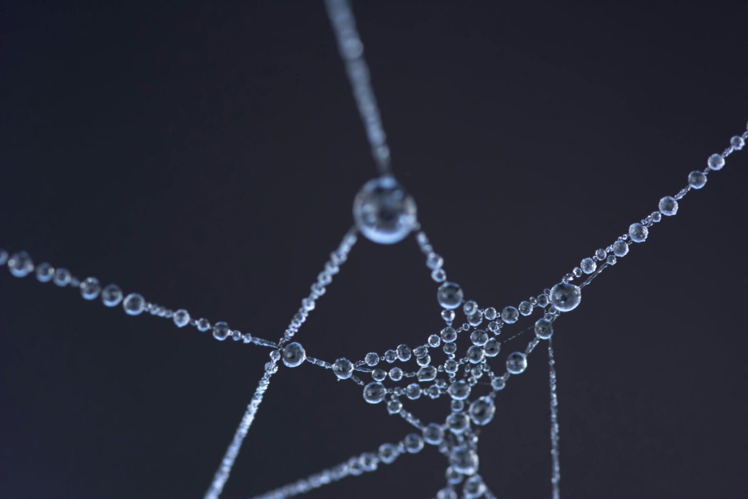 The Rise of Dark Web Influencers on Twitter and Telegram - h25.io